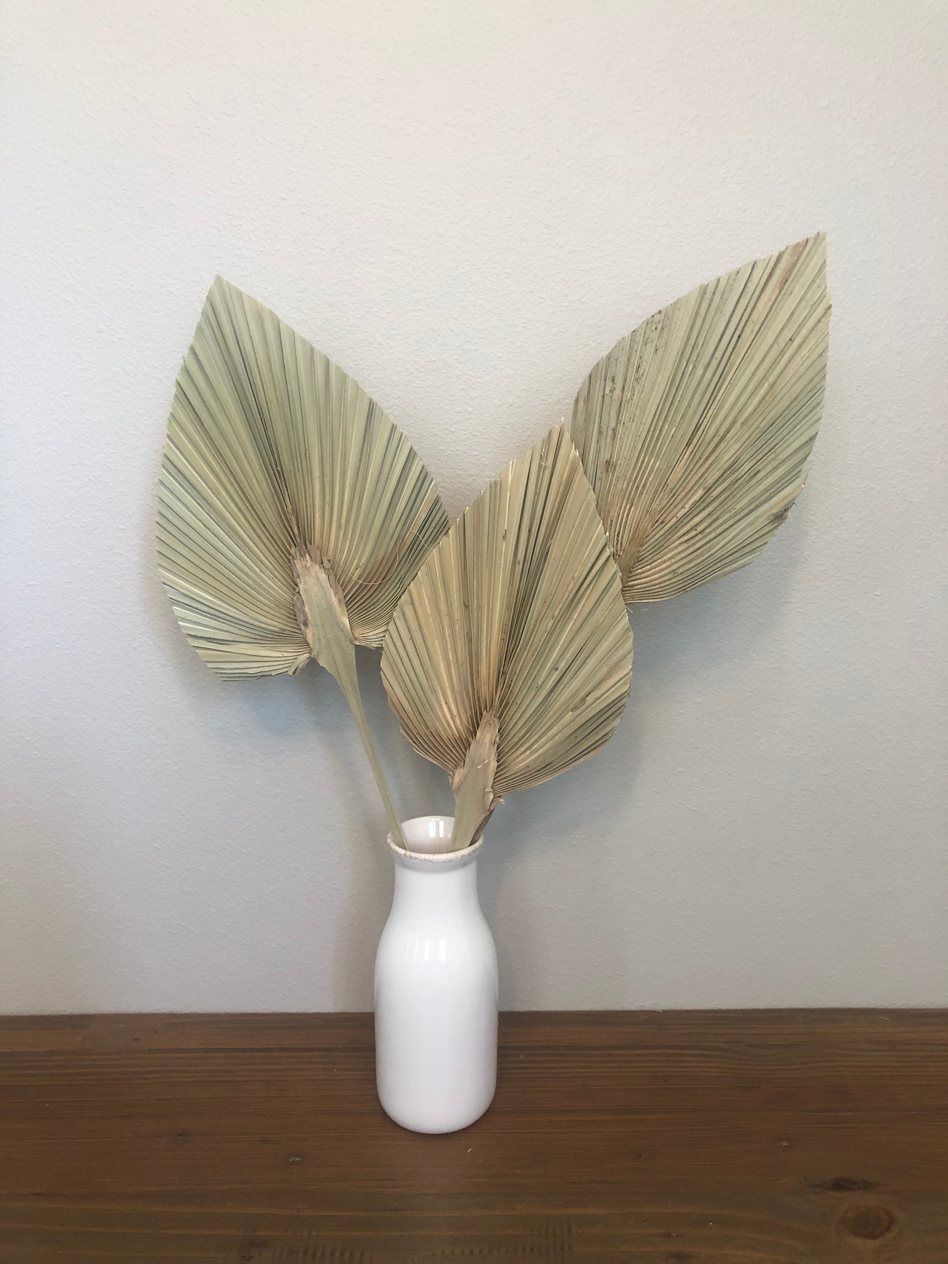 Natural Palm Spear – Spirit of the Pampas